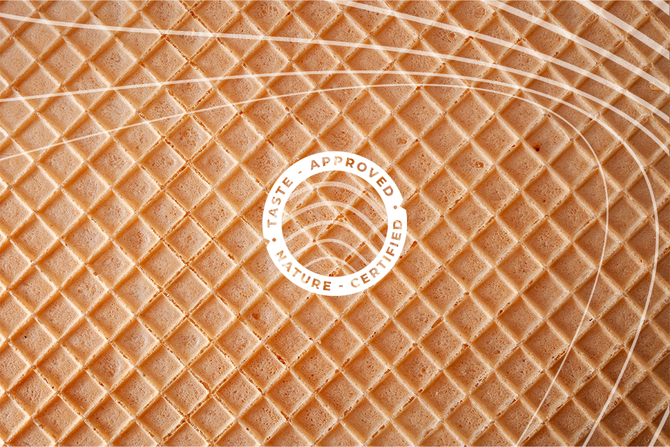 Rhovanil® Natural - Natural Flavor Vanillin | Syensqo